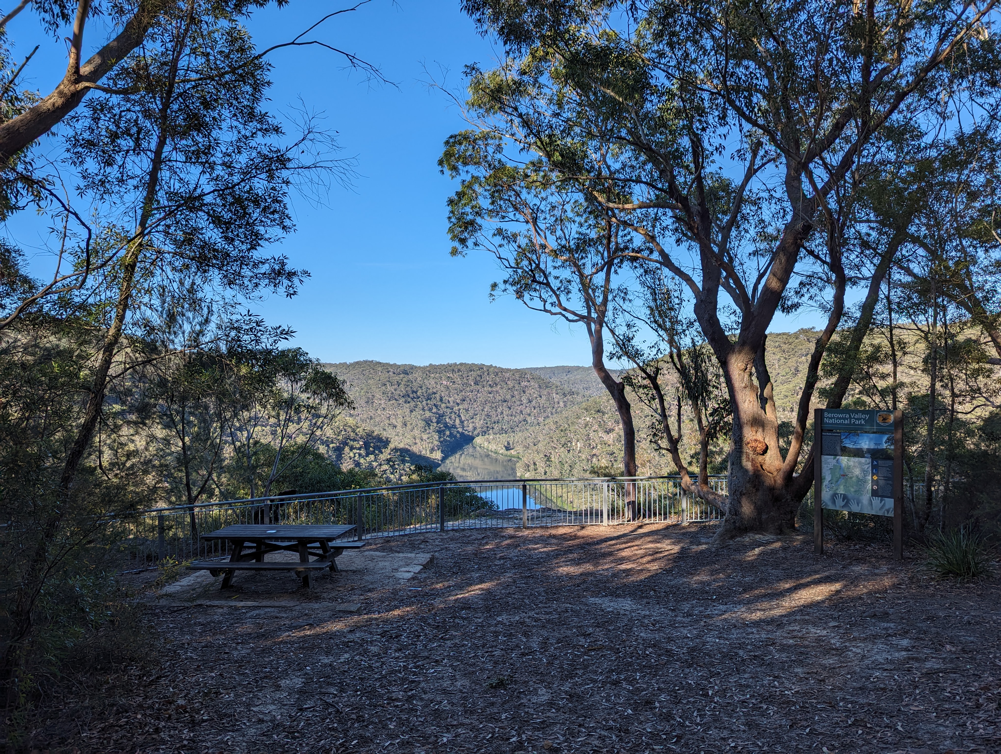 hike to crosslands reserve + wildlife | darsh's life