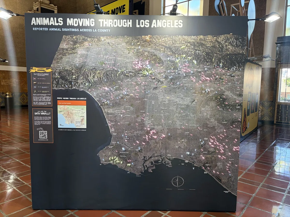 Saw iNaturalist data in the wild | Laura Michet's Blog