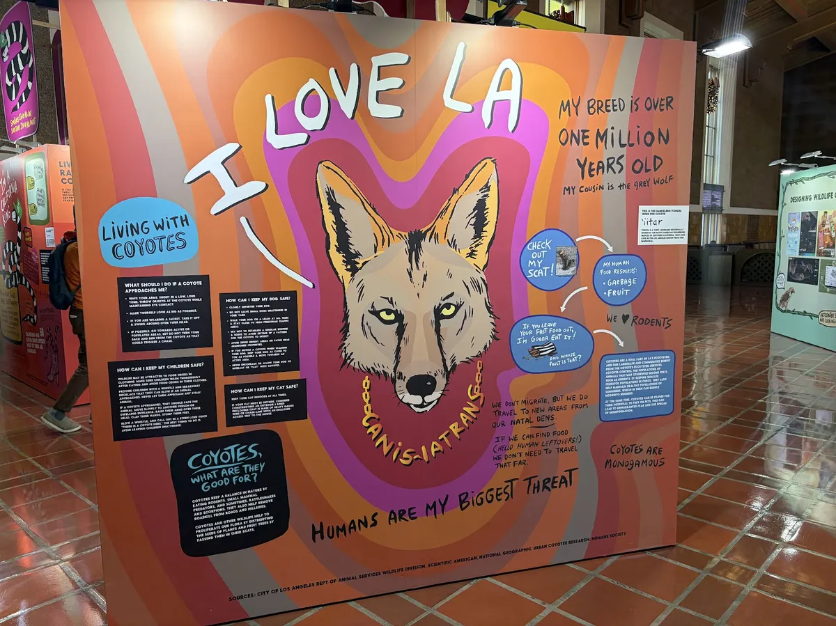 Saw iNaturalist data in the wild | Laura Michet's Blog