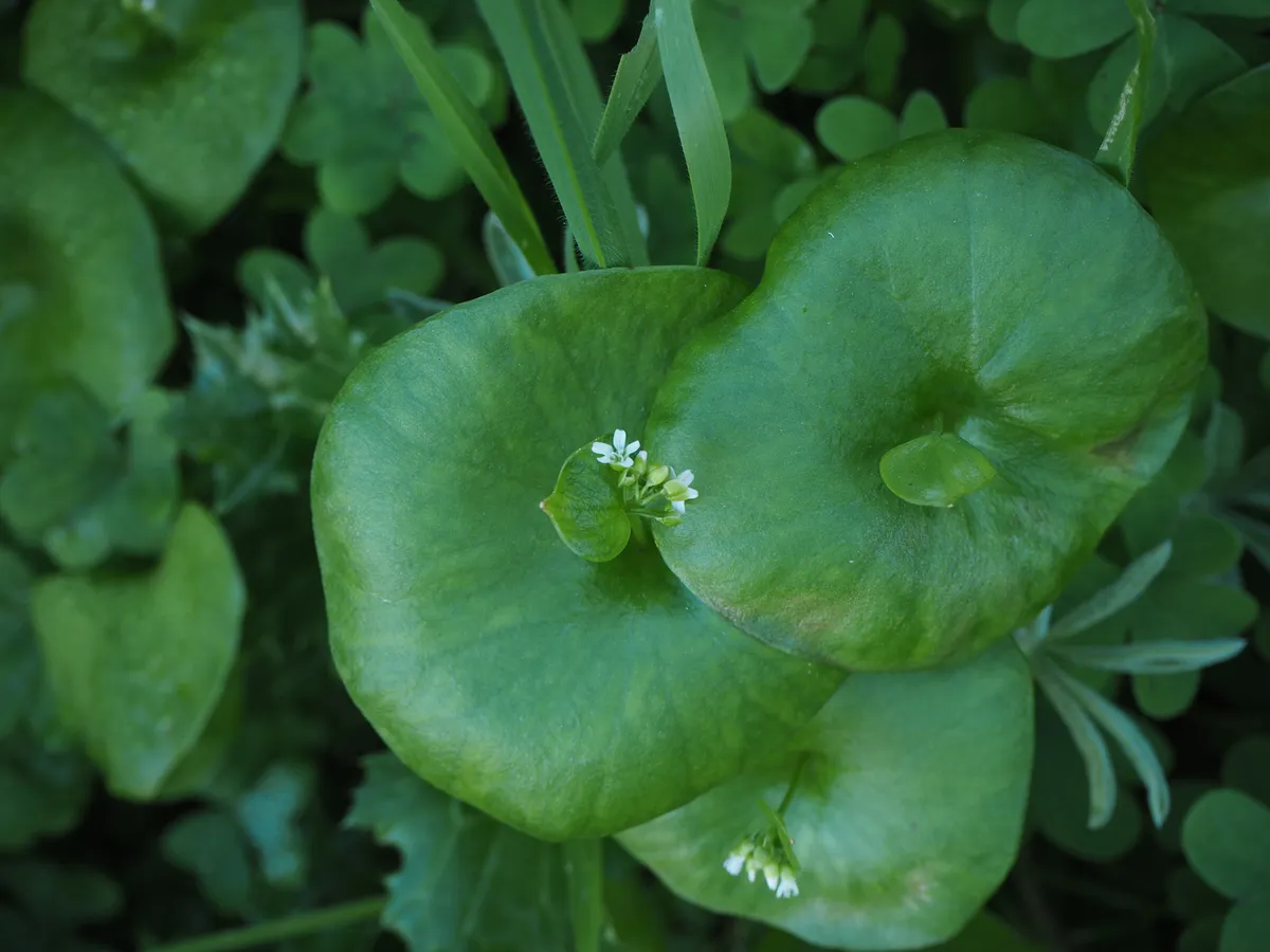 Two small hikes in one day | Laura Michet's Blog