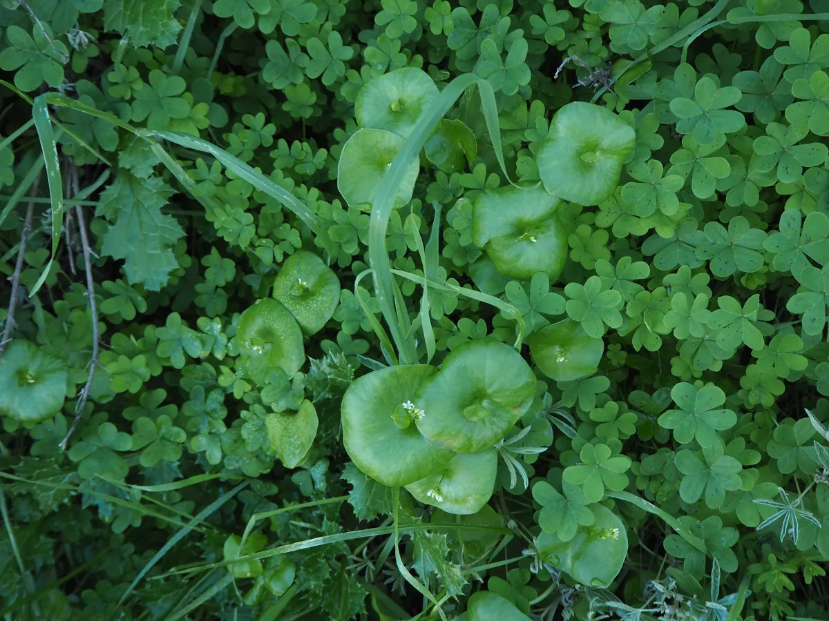 Two small hikes in one day | Laura Michet's Blog